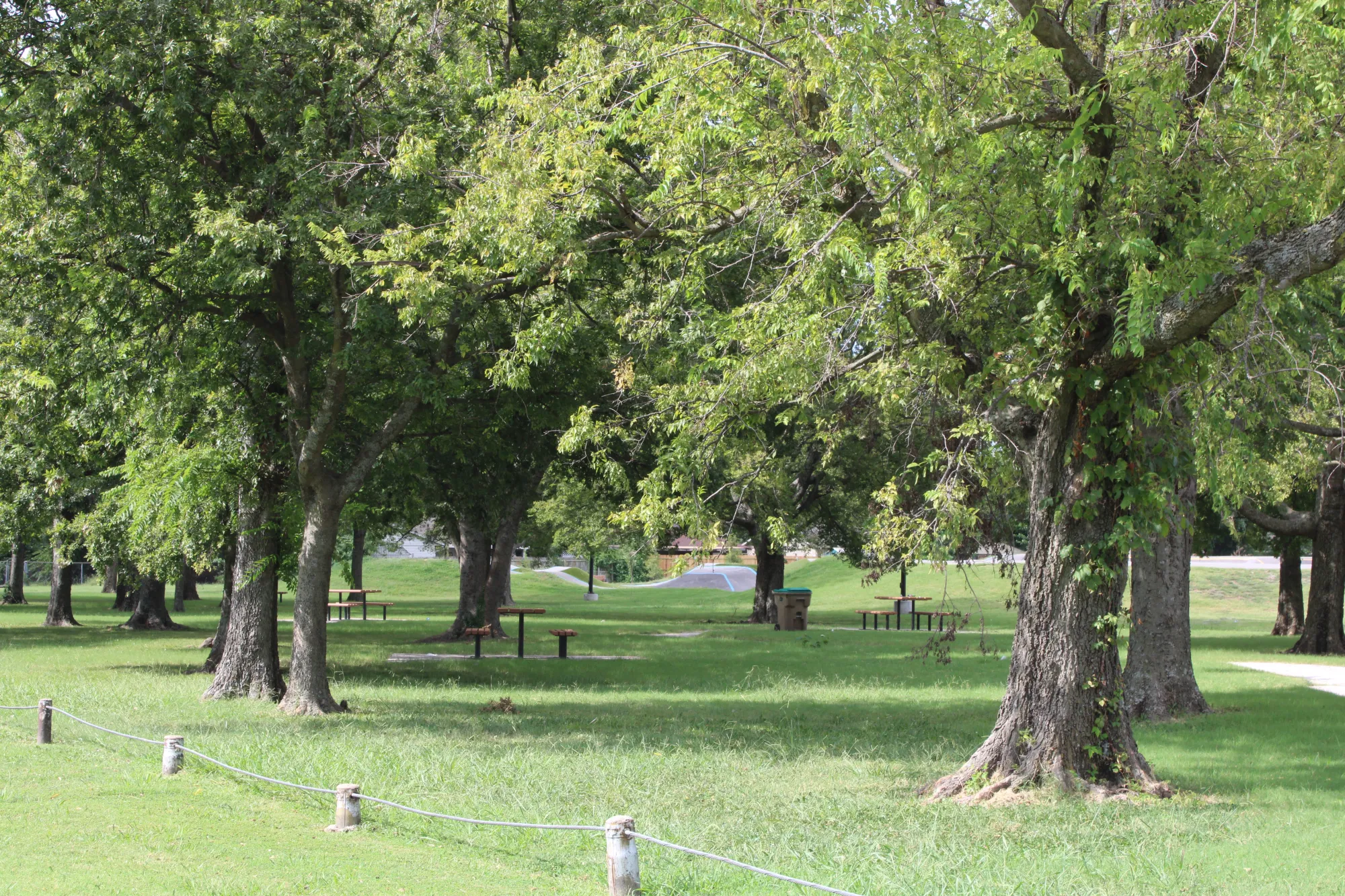 Tulsa’s allergy season is getting shorter, but more intense